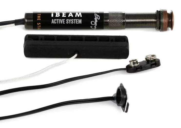 LR Baggs iBeam Active System with Volume Control– The Music Gallery